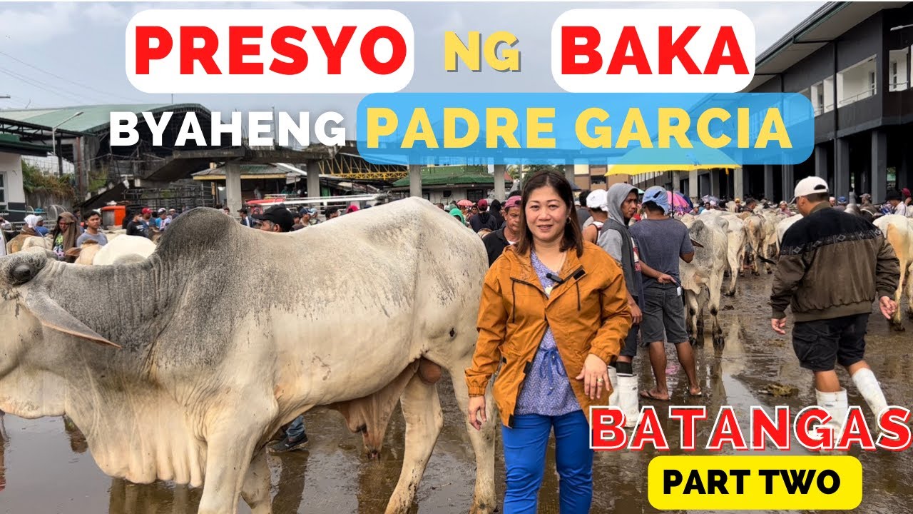 PRESYO NG BAKA SA PADRE GARCIA | ANG AKING BYAHE BATANGAS PART 2 ...