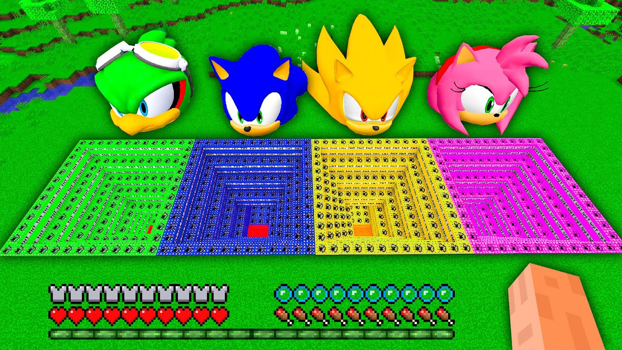 I found a TNT PIT SONIC JET AMY ROSE SUPER SONIC in Minecraft ! What's ...