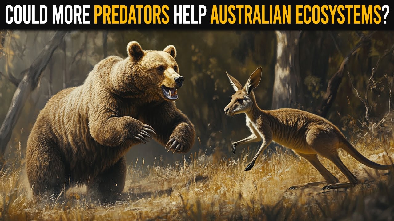 Does Australia Need More Predators to Fix Its Ecosystem? - YouTube