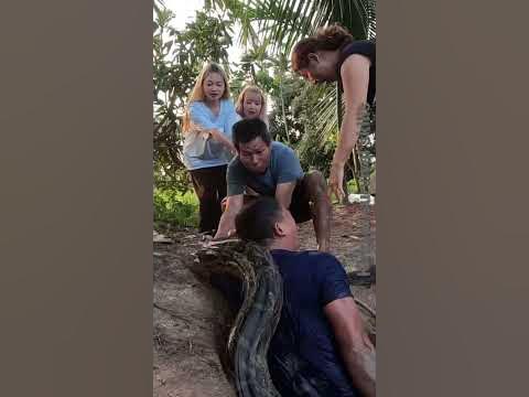Giant python fiercely attacks humans #Shorts - YouTube
