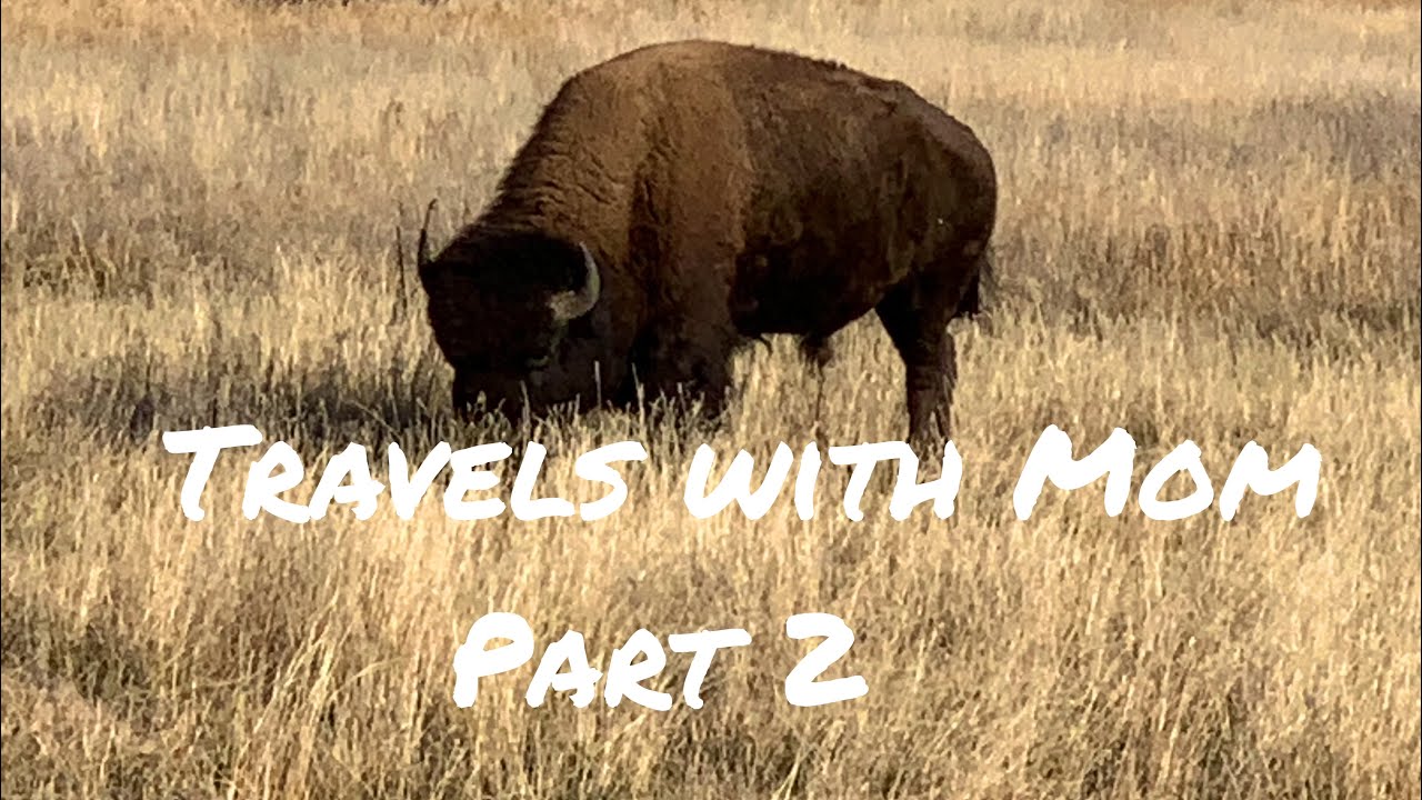 Yellowstone National Park - YouTube