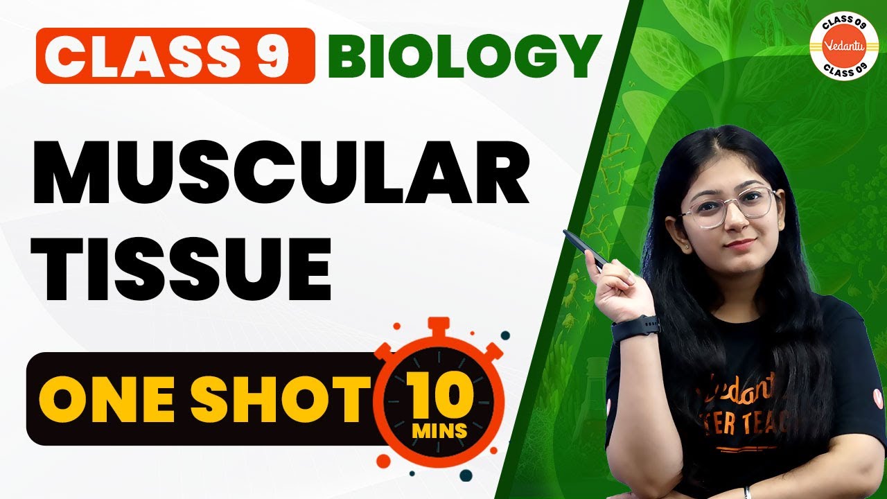 MUSCULAR TISSUE One Shot in 10 Mins | Tissues Class 9 | CBSE 9th ...