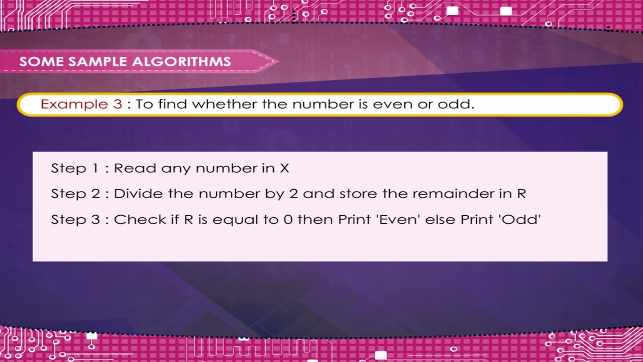 Algorithm Class 8 Youtube