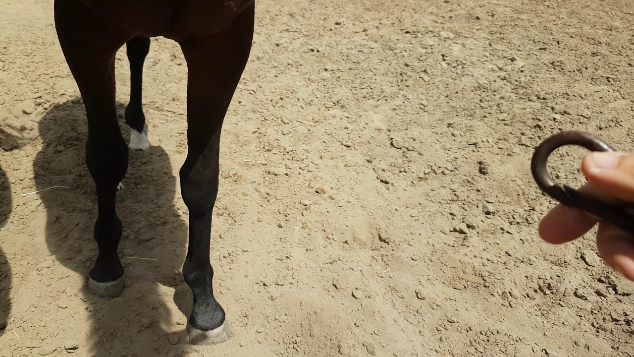 20200704 124314 - YouTube