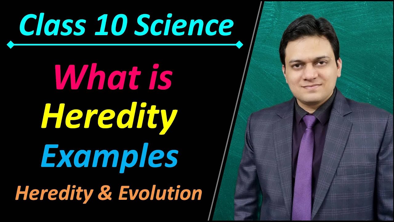 What is Heredity Class 10 Science Ch 9 Heredity and Evolution - YouTube