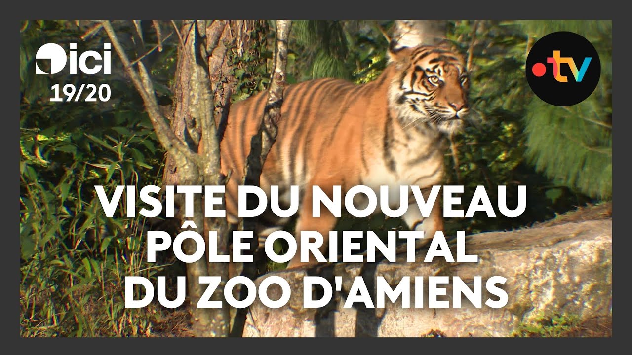 Le Zoo d'Amiens se transforme avec de nouveaux aménagements pour le ...