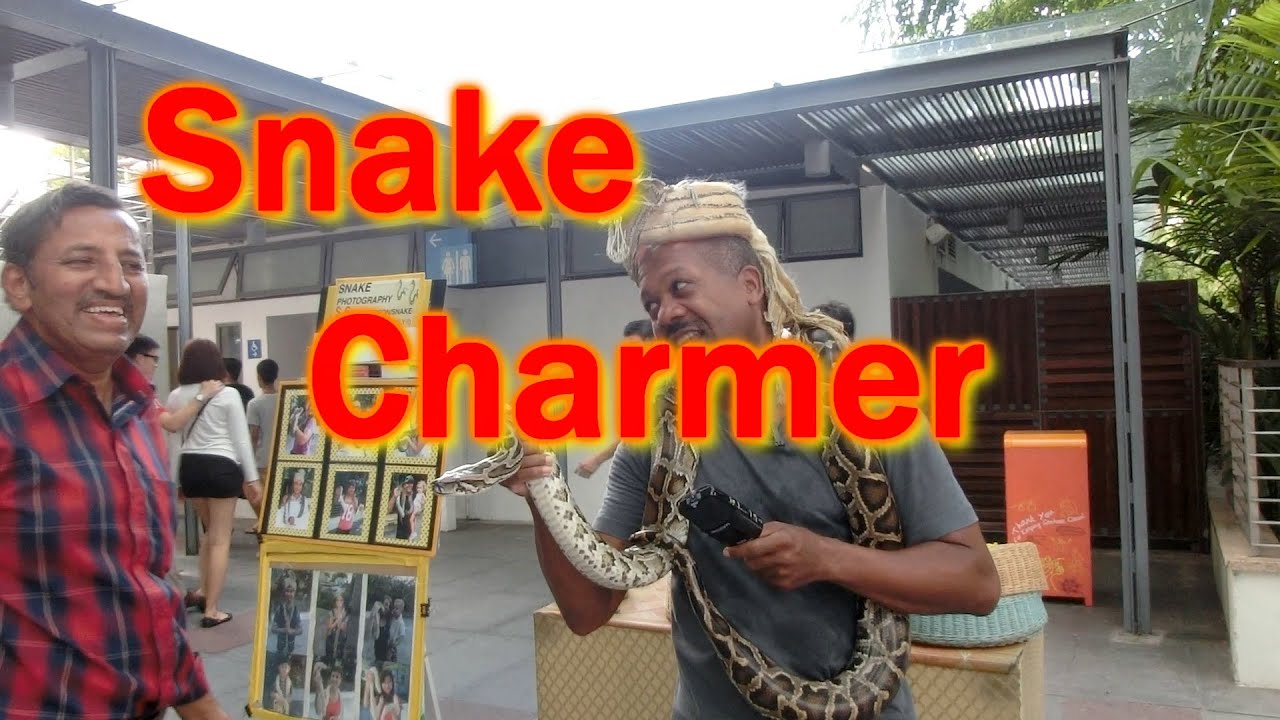 Sentosa Snake Charmer - YouTube