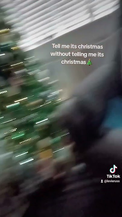 Sorry I haven't posted in a while🤭| Merry Christmas!!🎄 ️ #christmas #fyp - YouTube