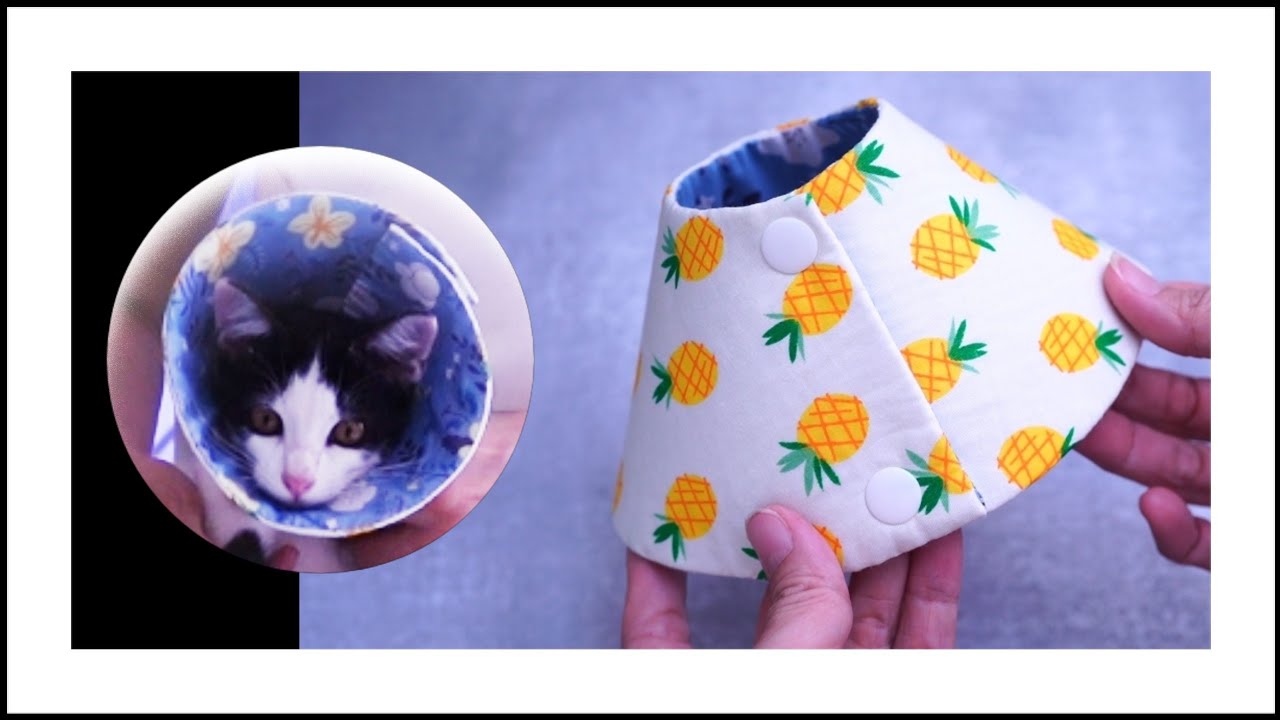 💎"Protective and Comforting Cat Hood: Creating an Adorable cat hood for ...