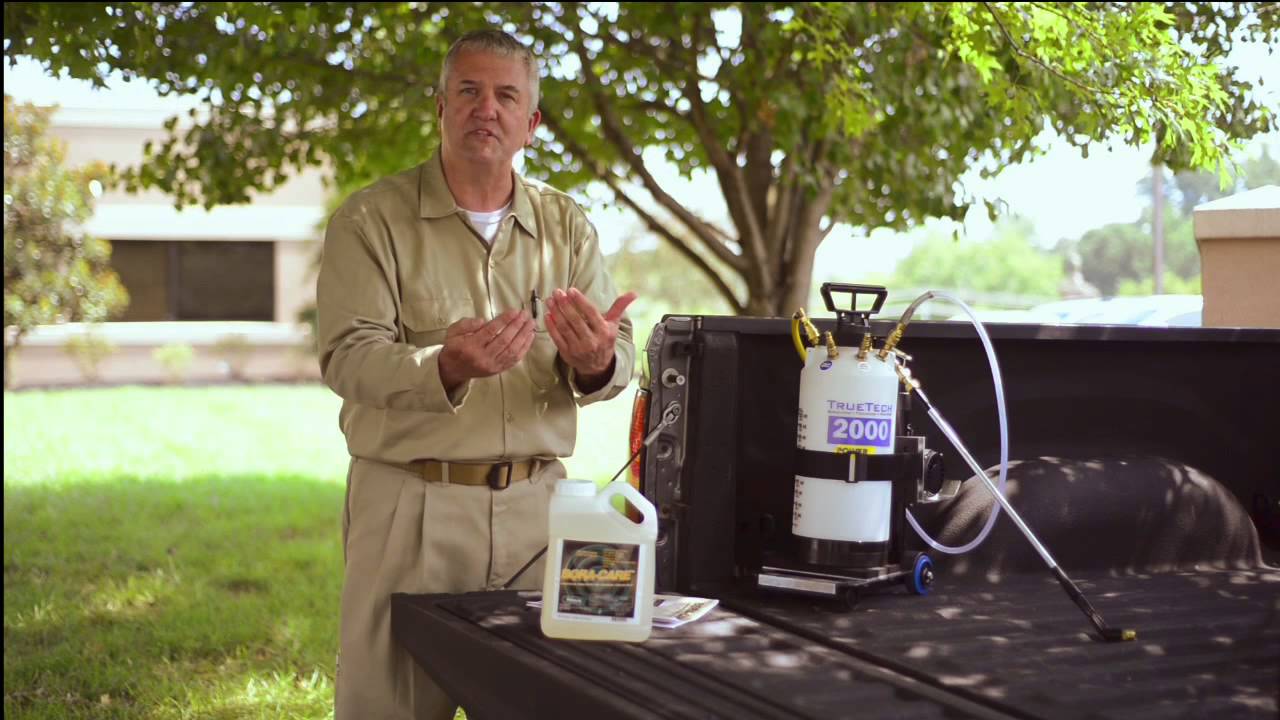 Introduction to Bora-Care termiticide, insecticide & fungicide for pest ...