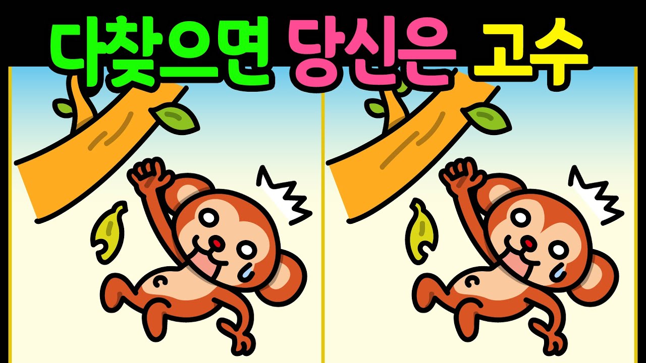 667【다른그림 3개 찾기⏰️ 집중력 인지력 향상】😱 하나도 못 찾으면 집중력 심각💦 틀린그림찾기find 3
