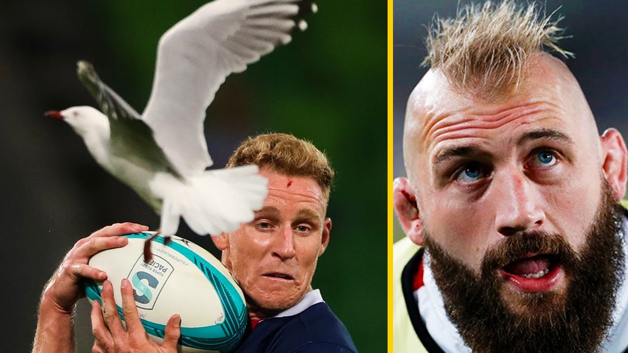 The Weirdest Rugby Moments Ever - YouTube