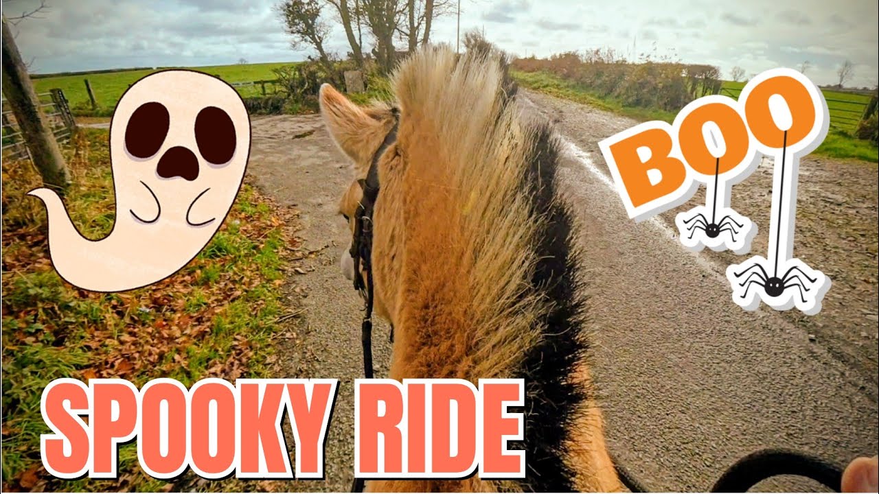 SPOOKY HORSE RIDE - TRUE GHOST STORIES FROM HORSEBACK - YouTube