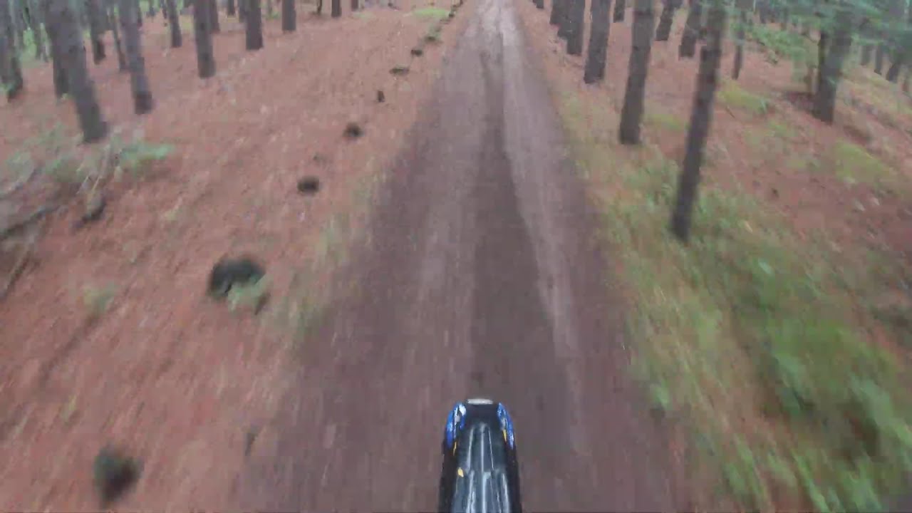 Geels ORV Trail - The tunnel of 🌲 section - YouTube