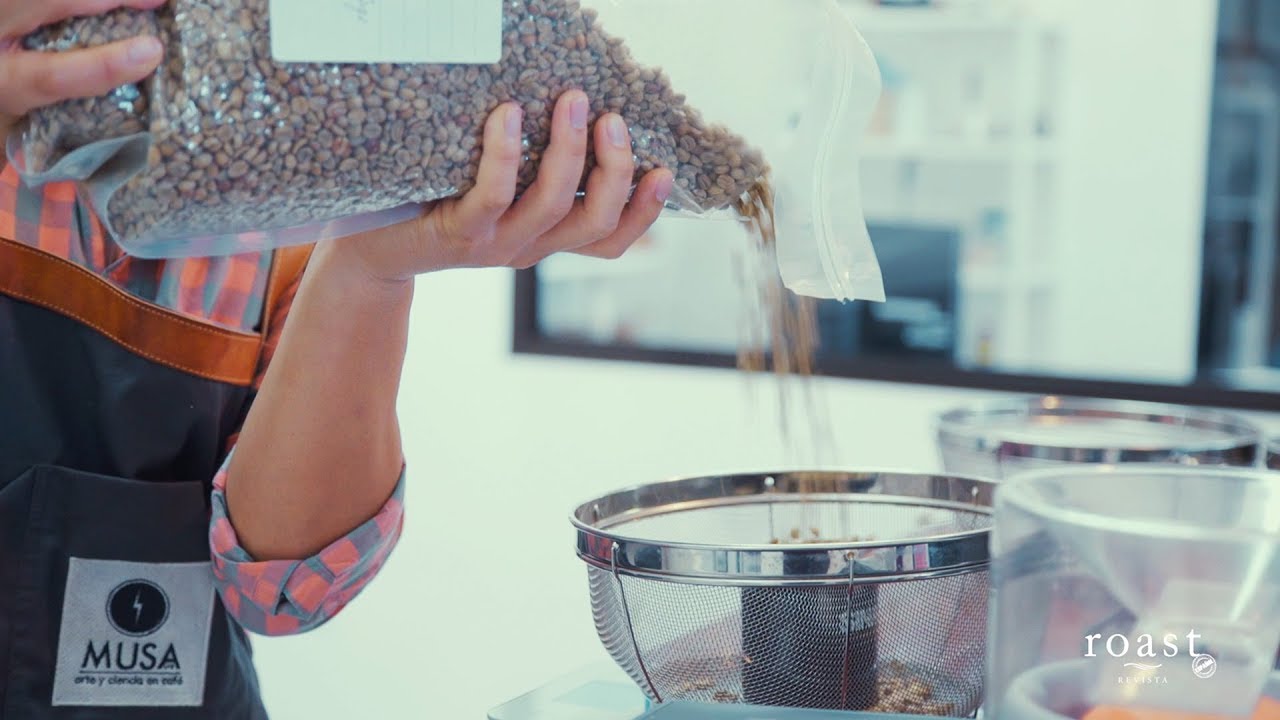 Asesoría y educación para profesionales del café: Musa Lab - YouTube