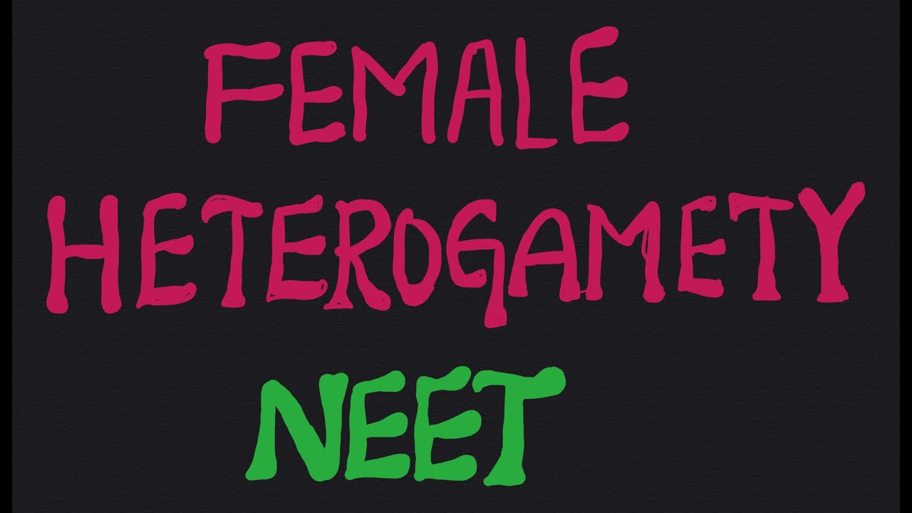 Female heterogamety (NEET) - YouTube