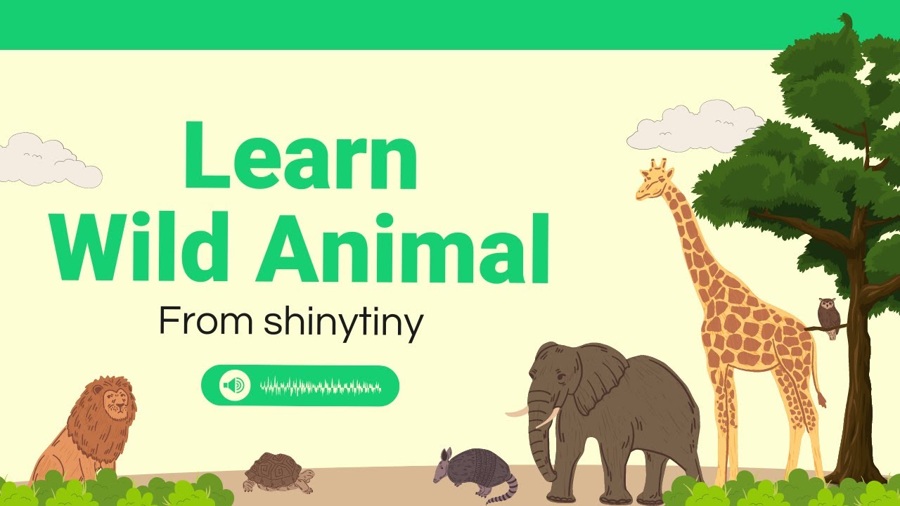 Meet the Wild Animals with ShinyTiny! | Fun Animal Facts for Kids - YouTube