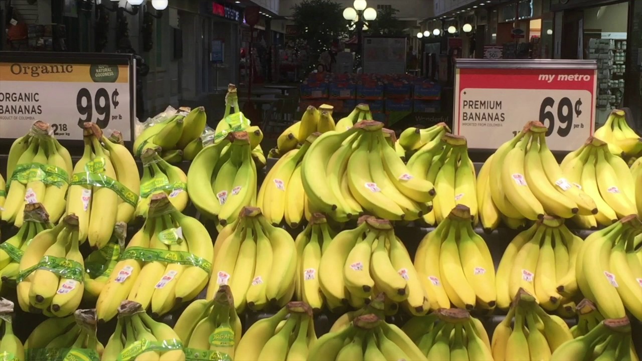 GMO's yes or no? - YouTube