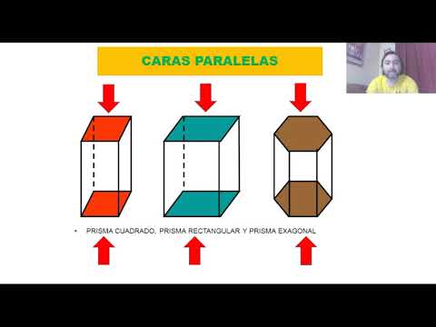 Paralelas y Perpendiculares en cuerpos geométricos. - YouTube