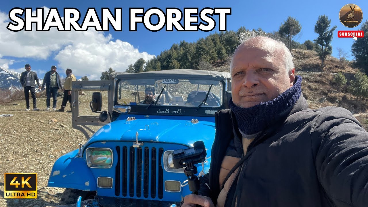 BALAKOT to SHARAN FOREST 😍 An Untouched Gem of Kaghan Valley Moto Vlog & Jeep Trek 😎😍 - YouTube
