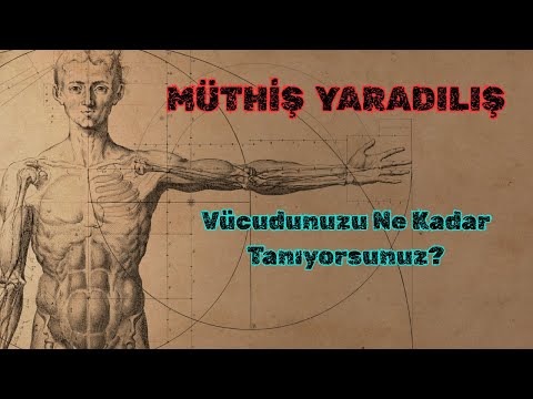 Sağlık Testi: Vücudunuzu Ne Kadar Tanıyorsunuz?