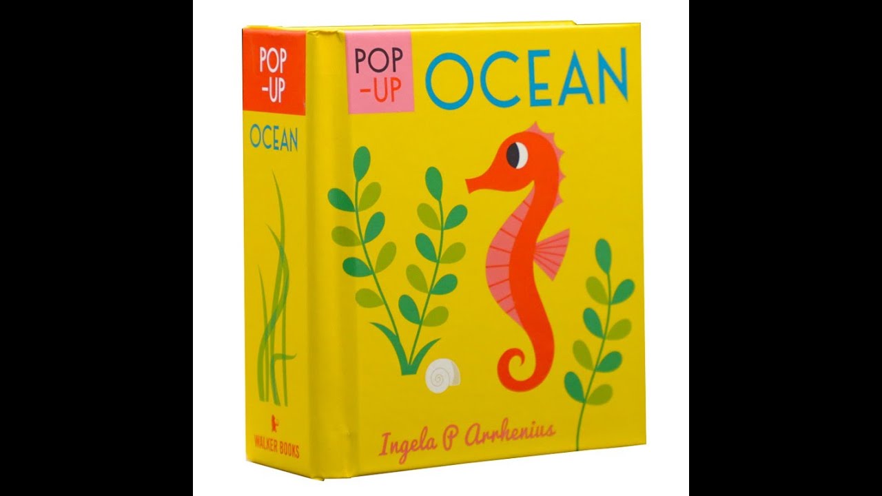 Pop Up Ocean Book by Ingela P Arrhenius - YouTube
