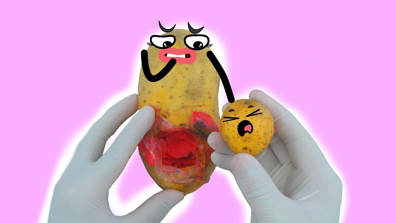 The Untold Stories of Potato | Animated Surgery Adventures & Laugh Out ...