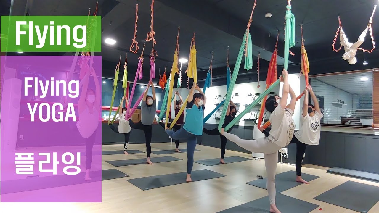 플라잉 요가앞벅지 스트레칭 워밍업프론트밸트랩 나무자세 비둘기자세파우치랩온더해먹 기초flying Yoga Basic