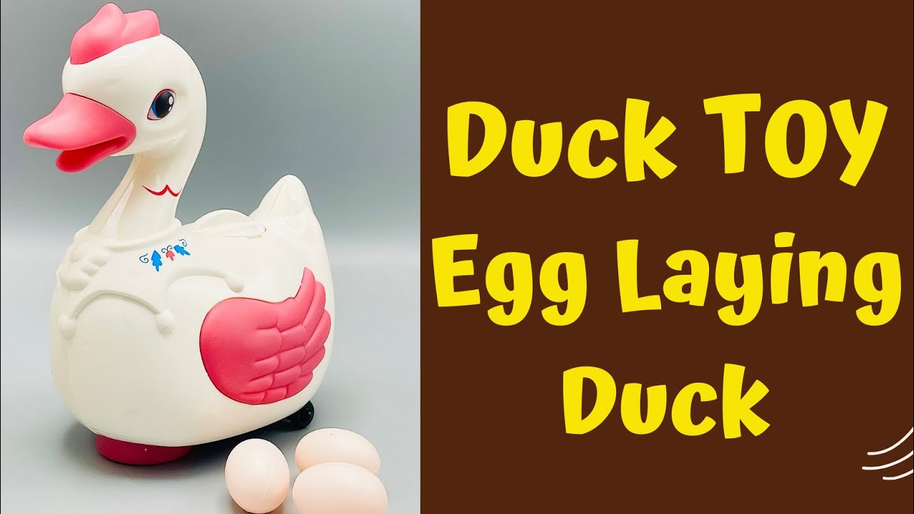 Duck | Egg Laying Duck | Toy | Duck toy Unboxing | Toys and Unboxing ...