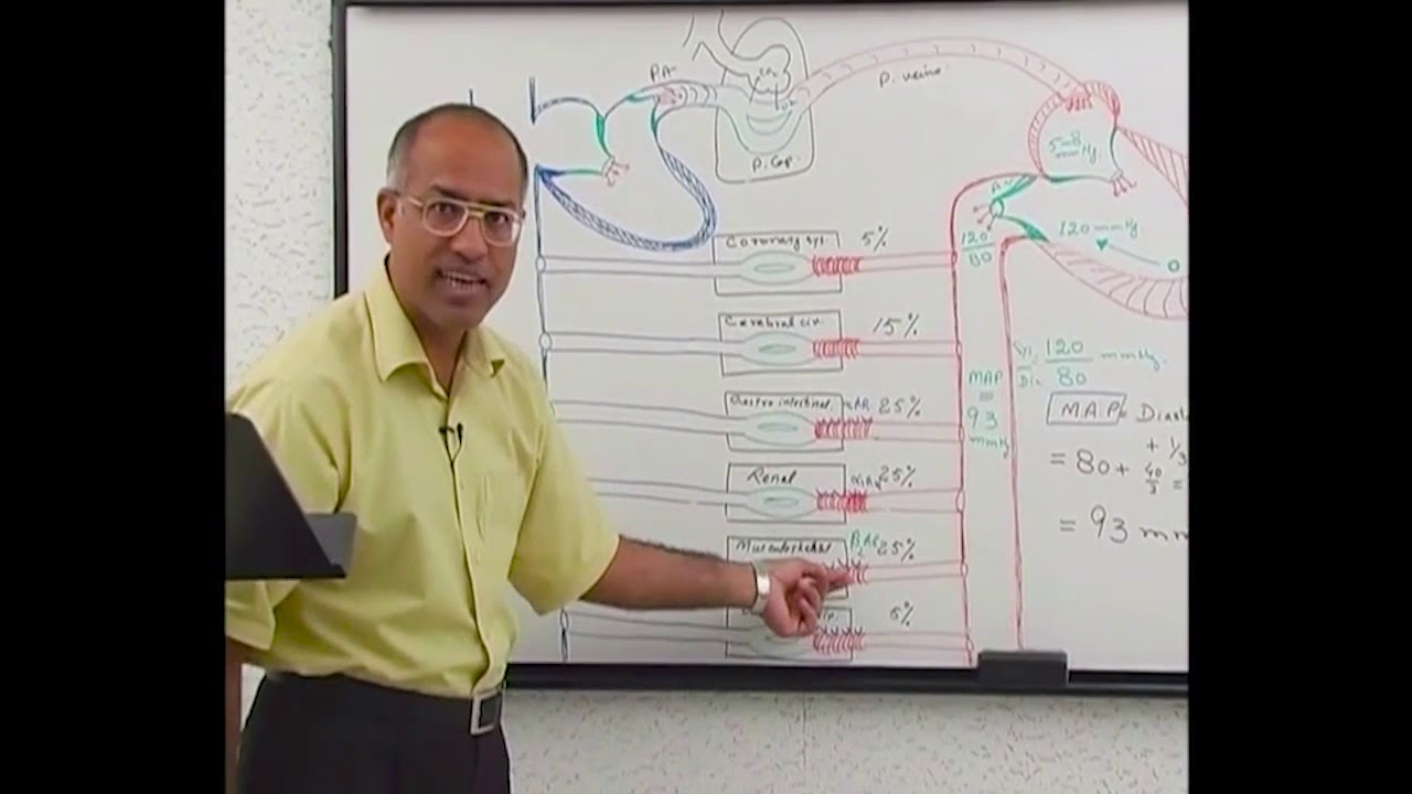 Hemodynamics Part 2 Members Youtube