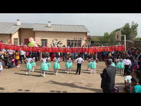 Penguen Dansı 23 Nisan