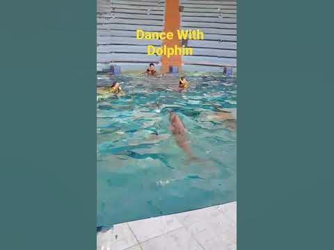 Dance With Dolphin #dolphin - YouTube