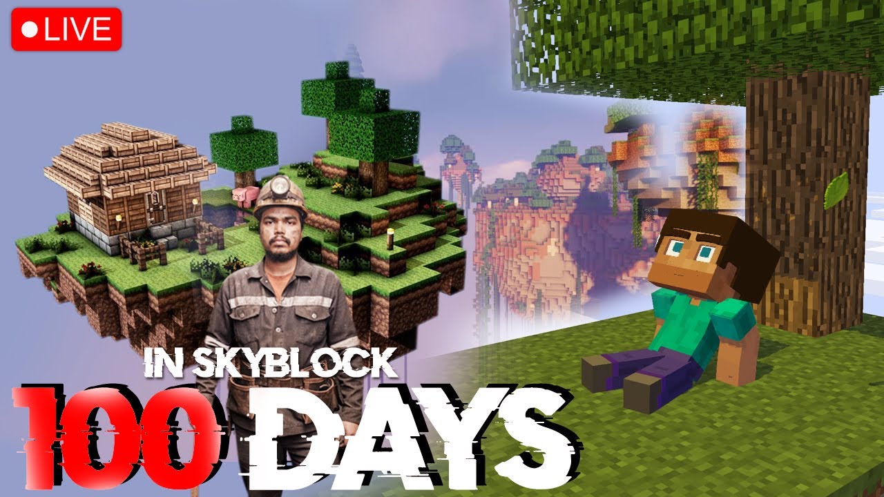 🌌 Surviving 100 Days on the Skyrock Island in Minecraft Hardcore ...