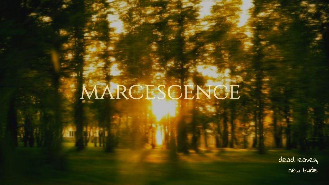 The Marcescence of the Self - YouTube