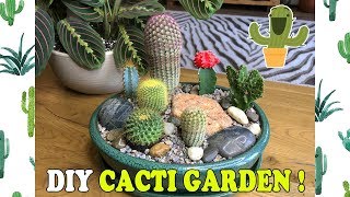 DIY Indoor Mini Cacti Garden!