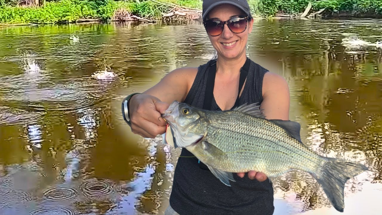 Easy WHITE BASS! My Wife on a SUGAR HiGH while Catching Mississippi ...