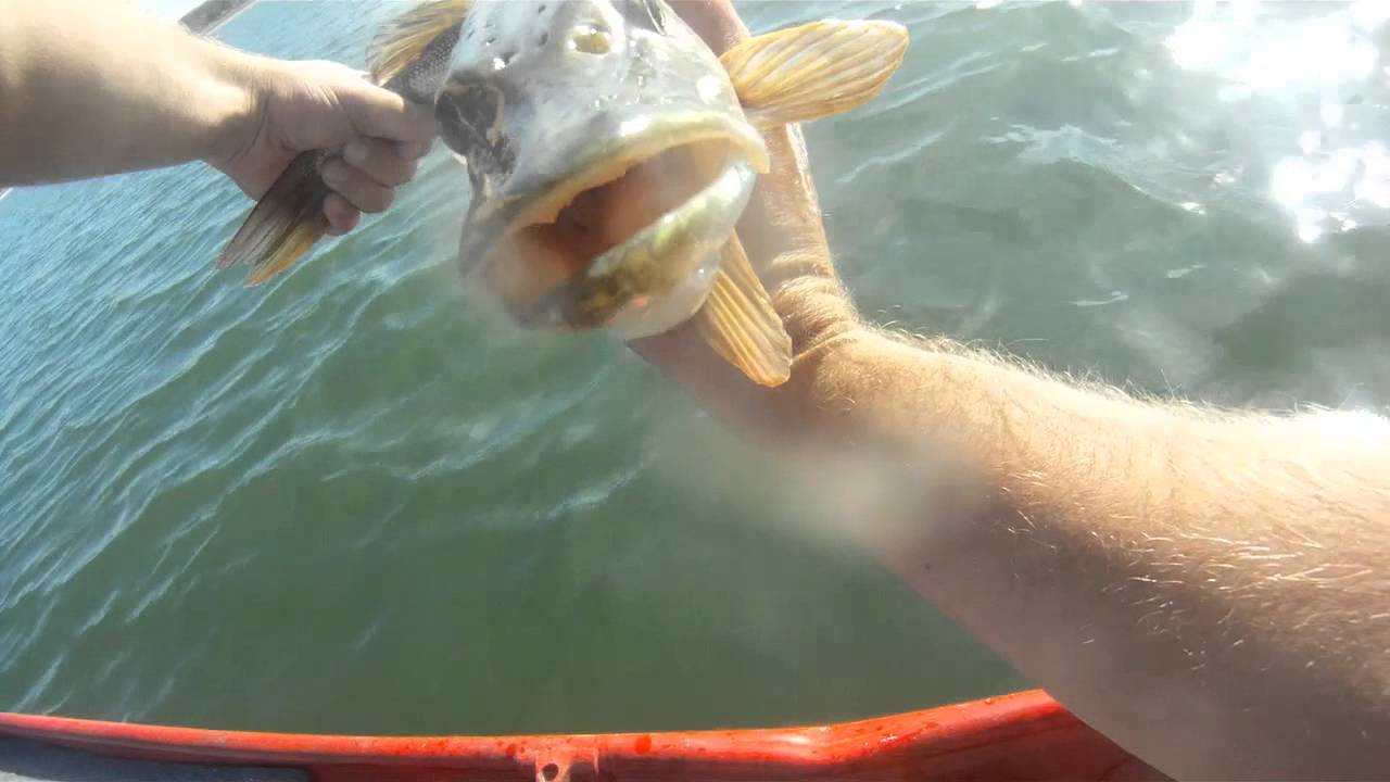 Pike Fishing | Totten Reservoir | Fishing Durango Co - YouTube