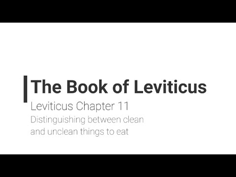 Leviticus Chapter 11 - YouTube