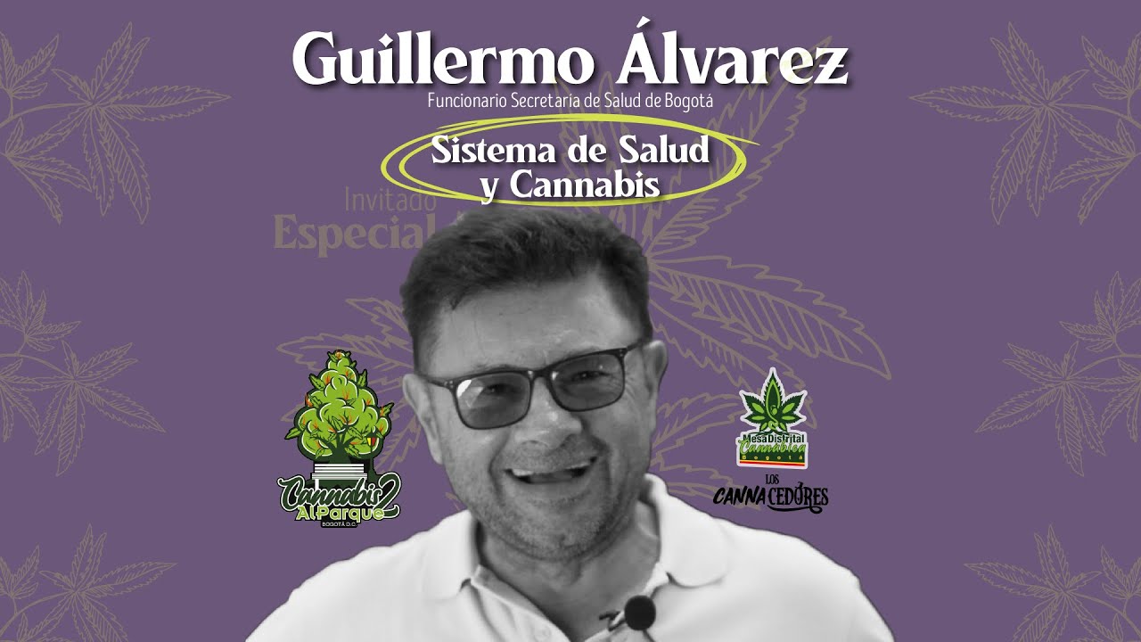#LOSCANNACEDORES - Cannabis, reforma a la salud y salud pública con el ...