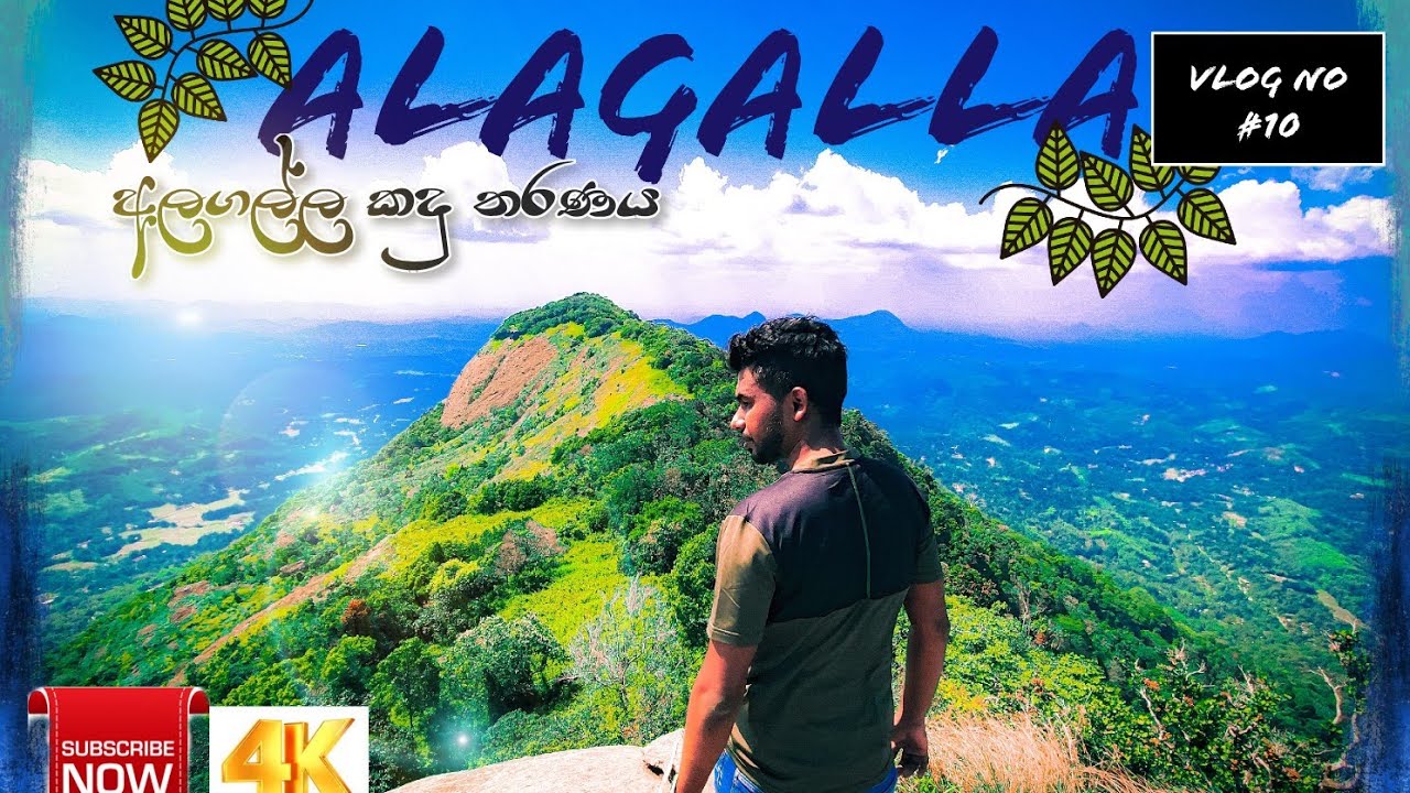 Alagalla mountain Hike |Sri Lanka| අලගල්ල කන්ද තරණය |Travel Vlog #10 ...