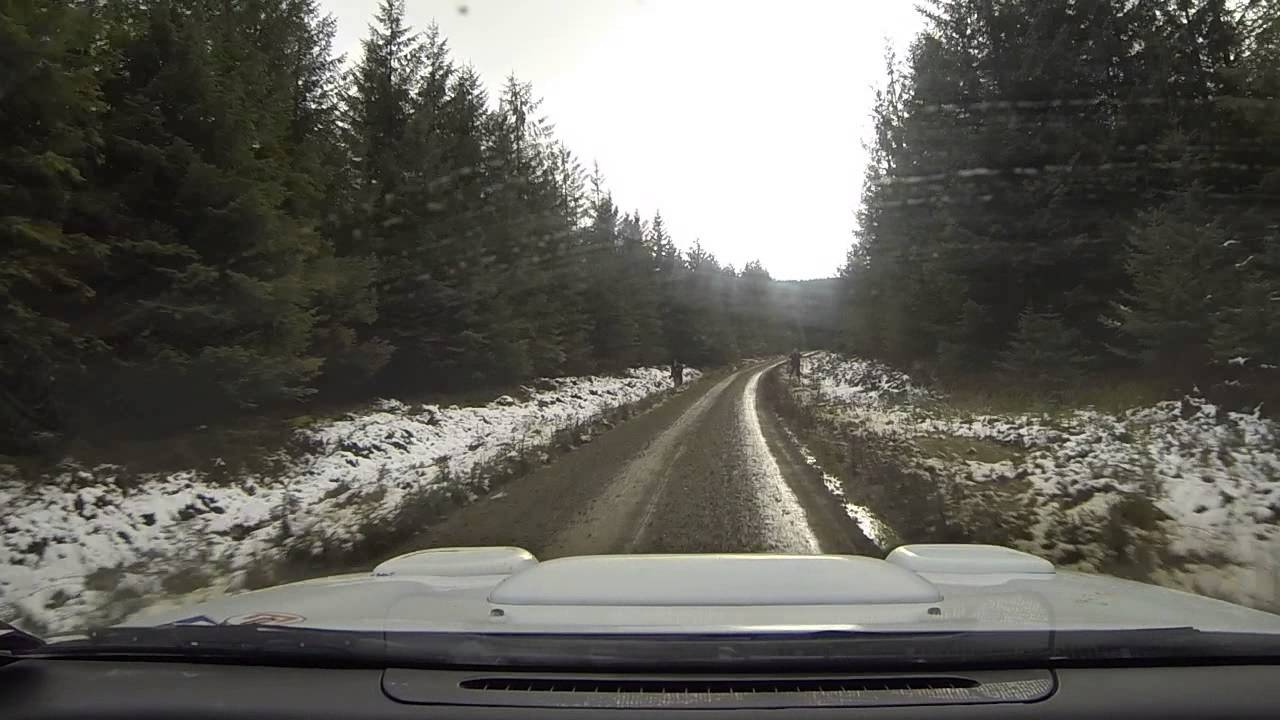 Border Counties Rally 2014 SS5 Buck Fell car 39 Ellya Gold and Jean Hay ...