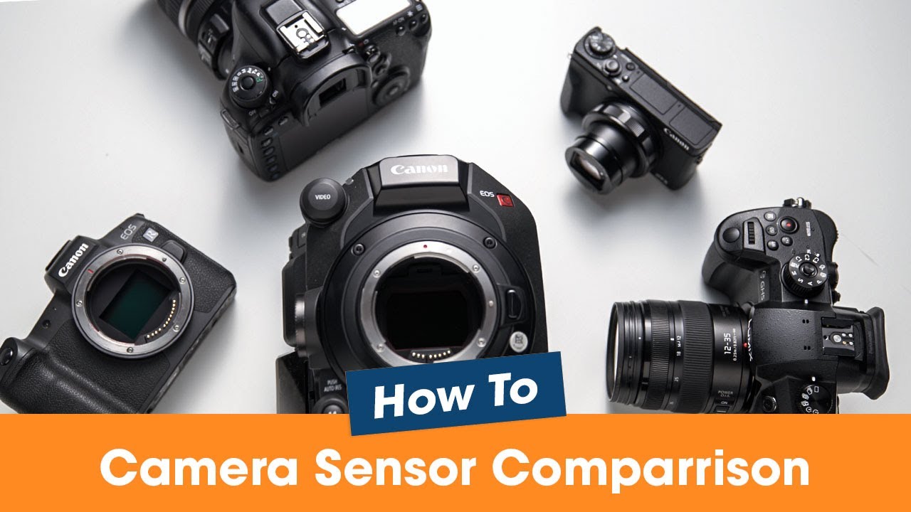 Camera Sensor Size Comparison Micro Four Thirds To Large Format