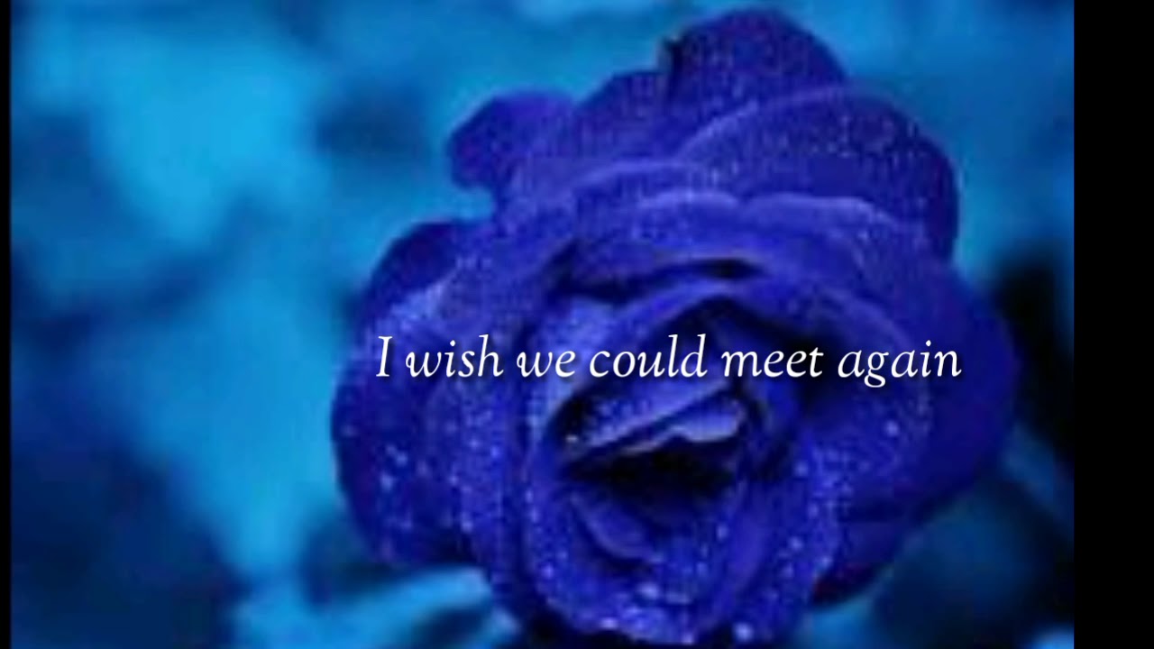 I wish we could meet again (2019) - YouTube
