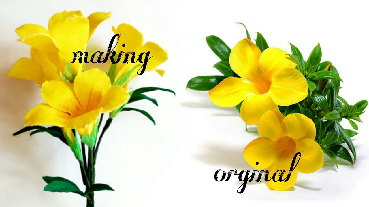 How to make Allamanda flower.|കോളാമ്പിപ്പൂവ്|using crepe paper - YouTube