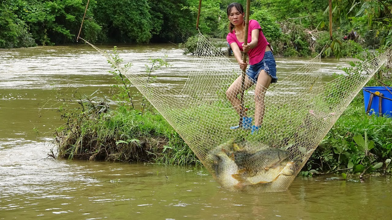 Traditional Fishing with Bamboo and Fishing Net In River | Girl ...