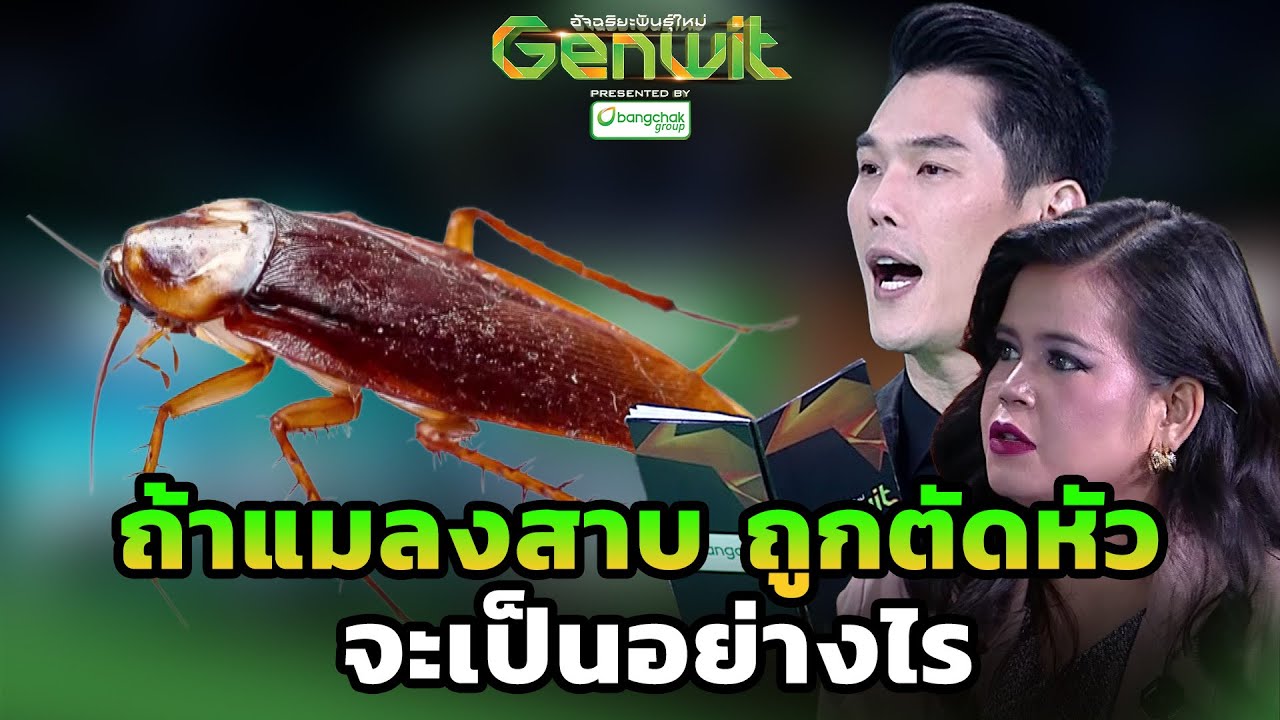 ถ้าแมลงสาบ ถูกตัดหัว จะเป็นอย่างไร | Genwit อัจฉริยะพันธุ์ใหม่ [CC] - YouTube