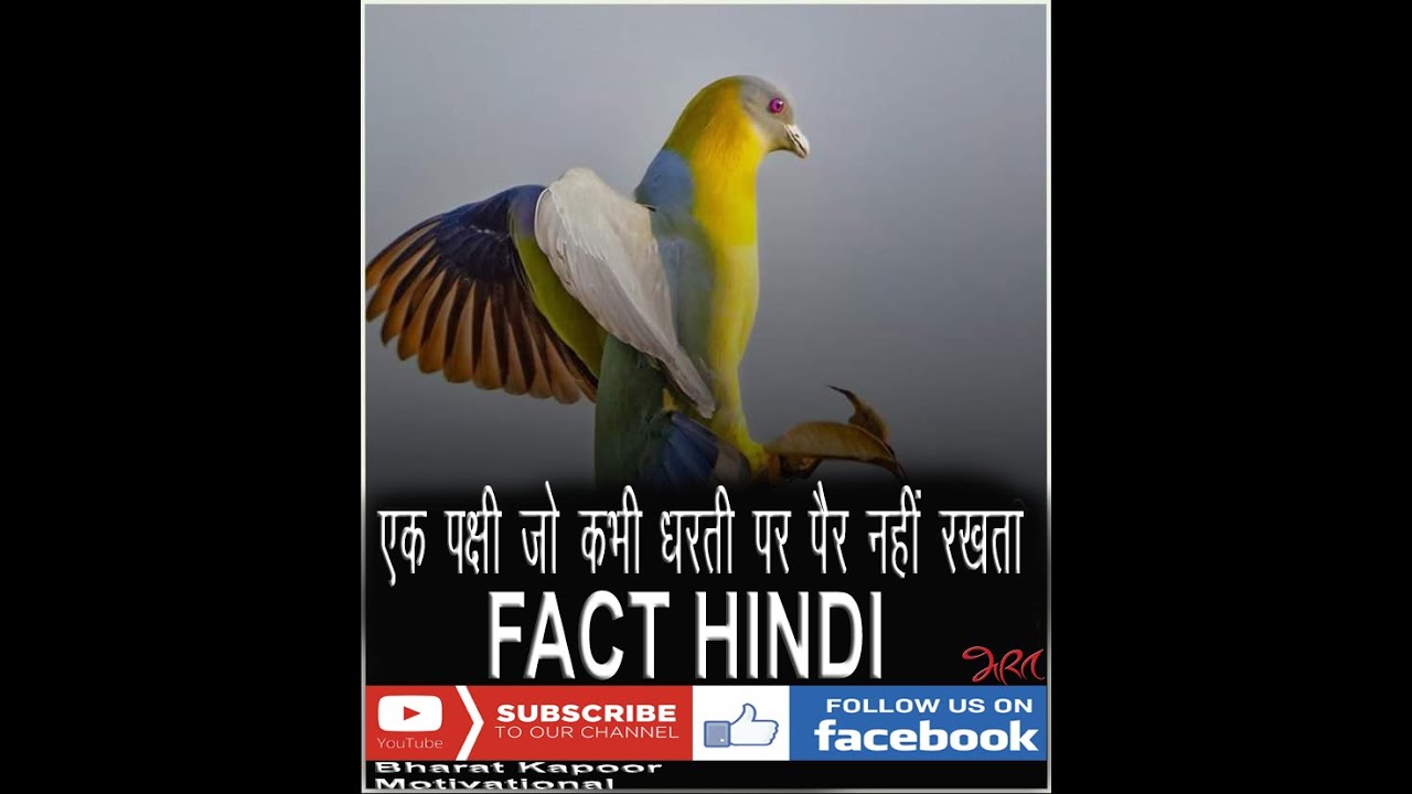 Haril Pakshi Fact - YouTube