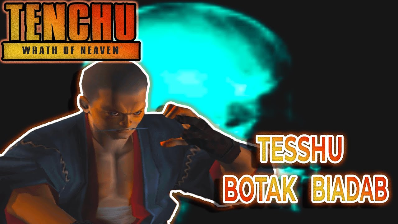 Tesshu in Echigoya House Layout 02 - Tenchu Wrath of Heaven #07 - YouTube