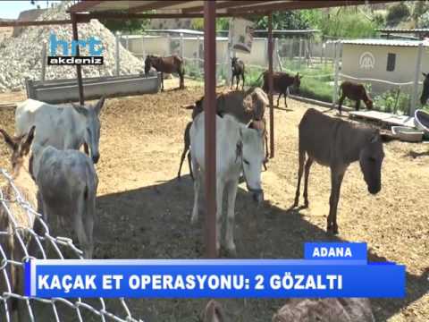Kaçak et operasyonu:2 gözaltı