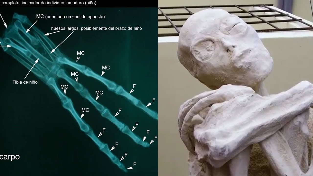 ' Las Momias de Nazca' Conferencia completa 11 de julio 2017 - YouTube